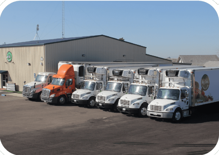 Excellence in Agriculture and Food Solutions - Ag Link